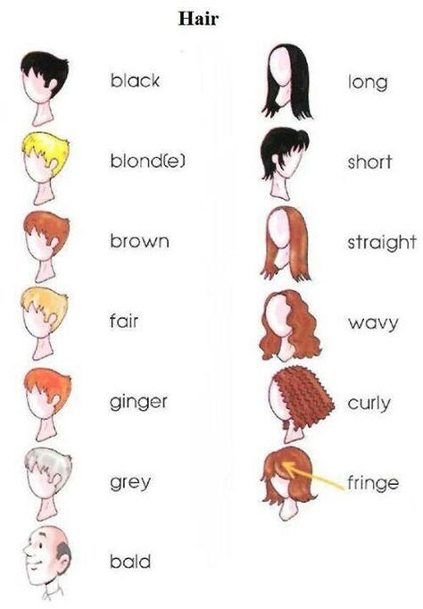 CPI Tino Grandío Bilingual Sections: hair vocabulary