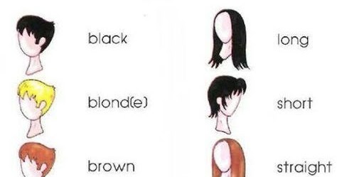 CPI Tino Grandío Bilingual Sections: hair vocabulary