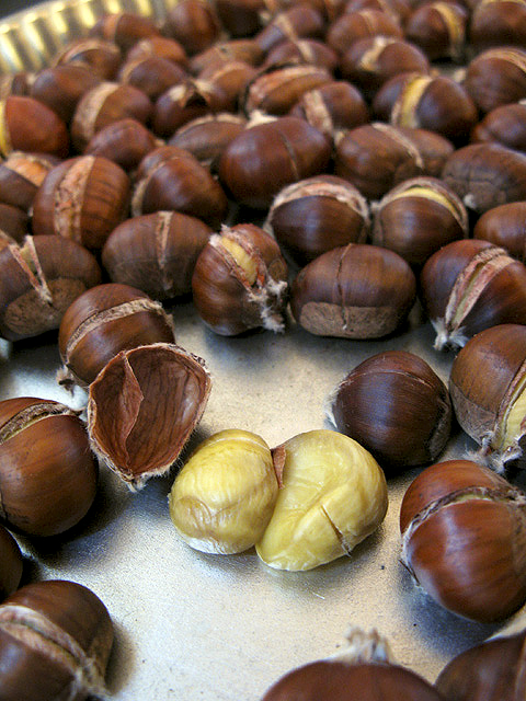 mach etwas : : : . . .: Marroni, Marroni, Marroni