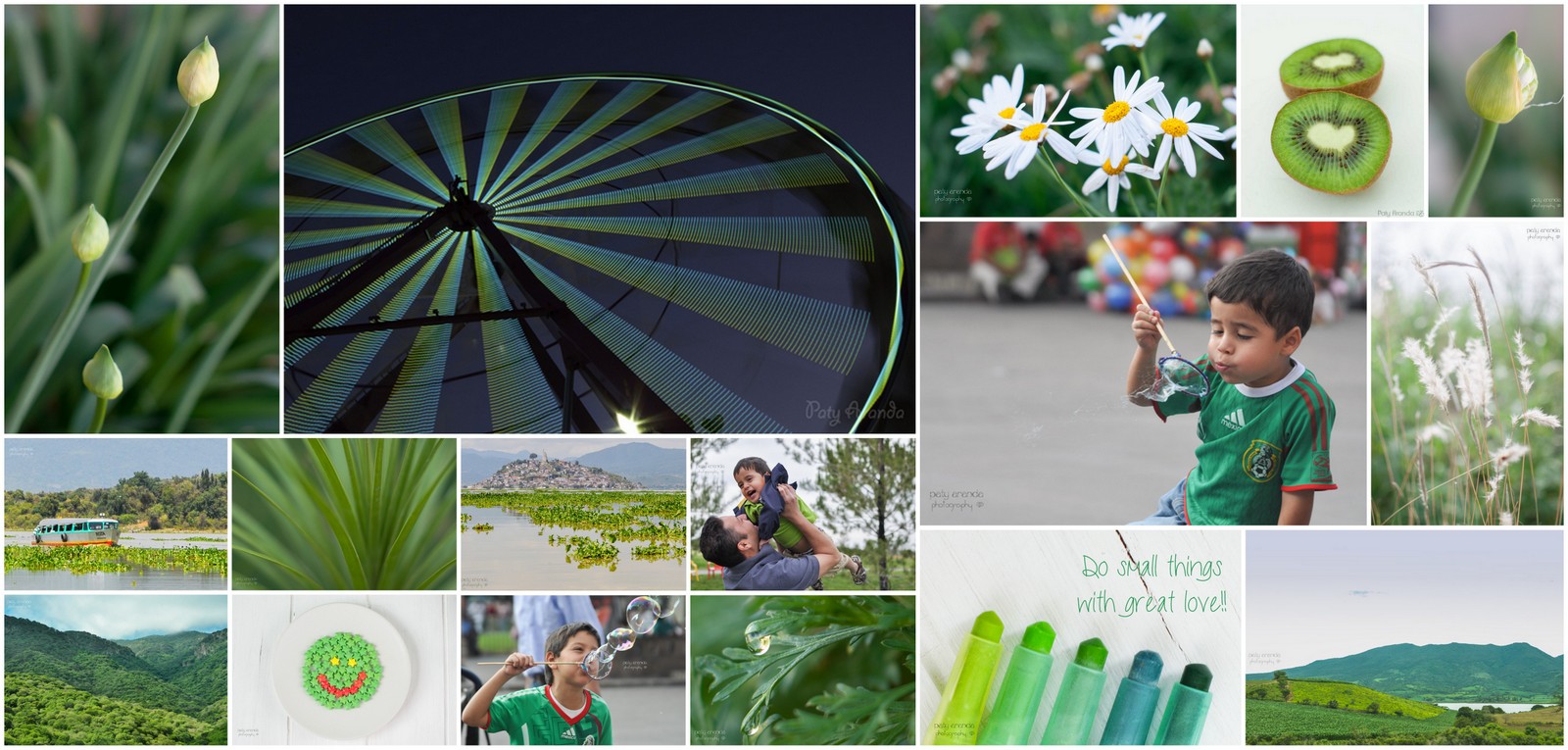 SIGNIFICADO DEL COLOR VERDE - Paty Aranda Photography