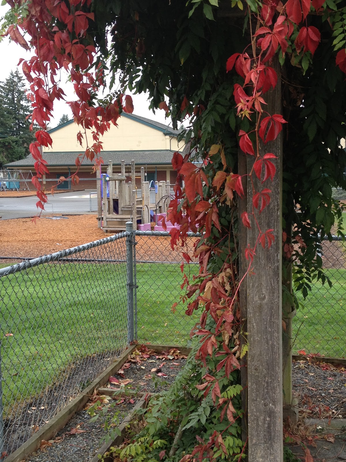 Lakewood Living: Parklodge Elementary- a Tri Lake Treasure