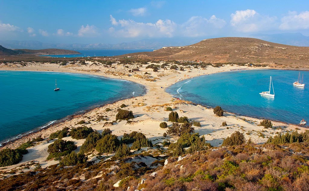 Ο μανιάτης (πεισματάρης) κόκορας