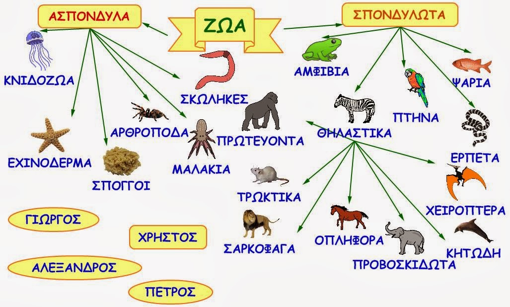 Το blogaki του 2ου Δημ. Σχολείου Συκεών: ΕΝΝΟΙΟΛΟΓΙΚΟΣ ΧΑΡΤΗΣ ΤΩΝ ΖΩΩΝ