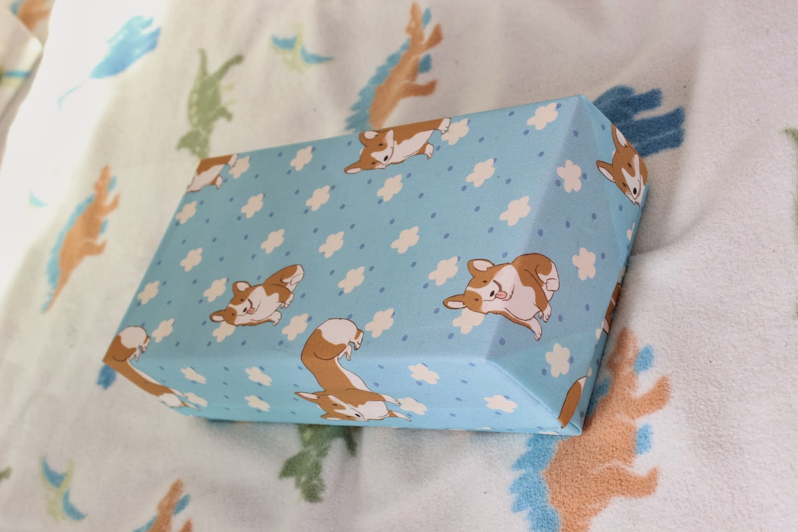 Haruka Illustration: Corgi box!