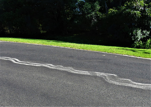 Natural Medley: BeautyScope 362: Wobbly line