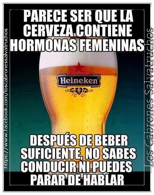 Frases y Pensamientos: Cerveza.