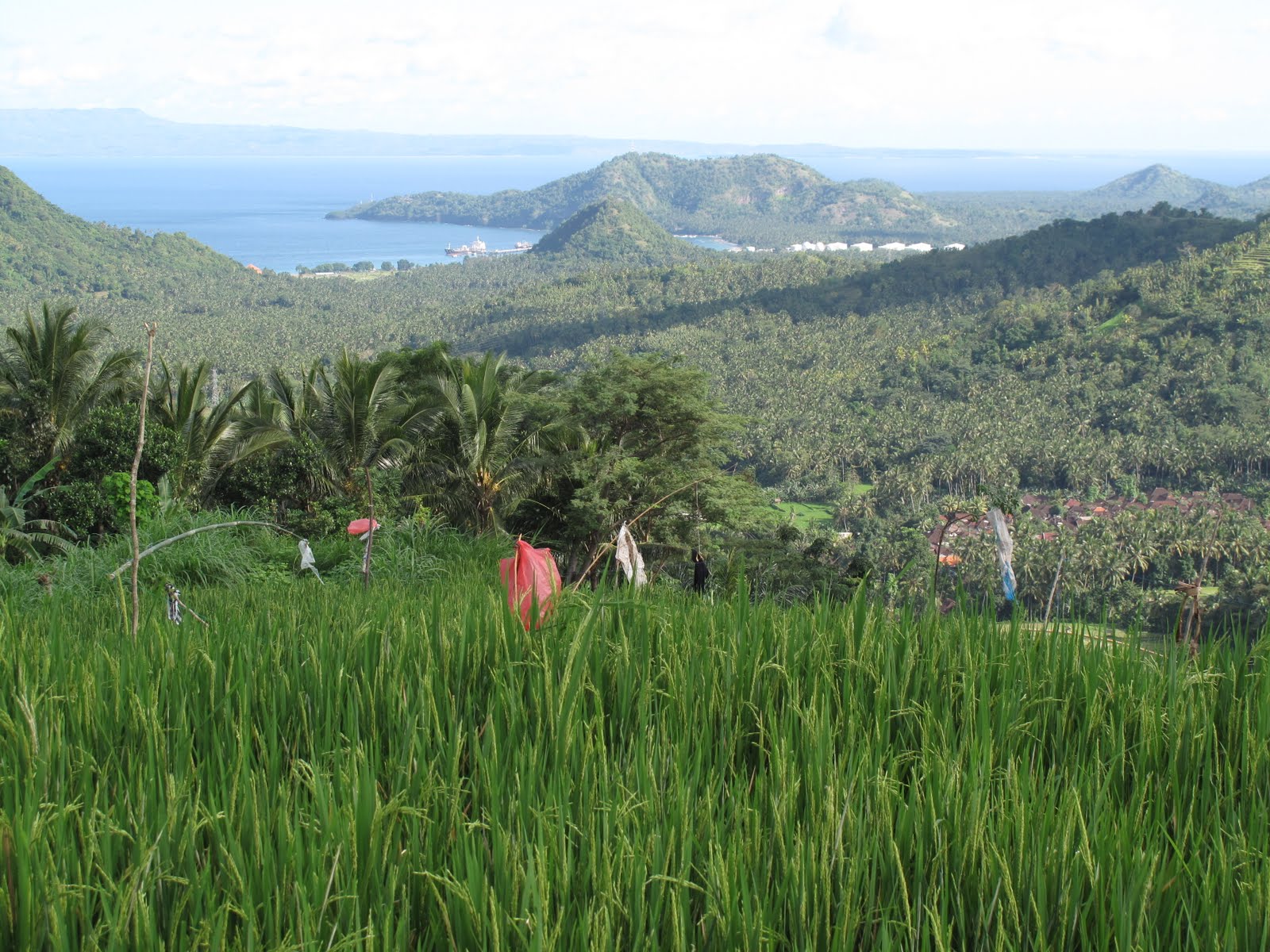 Bali Island tourist town: Putung