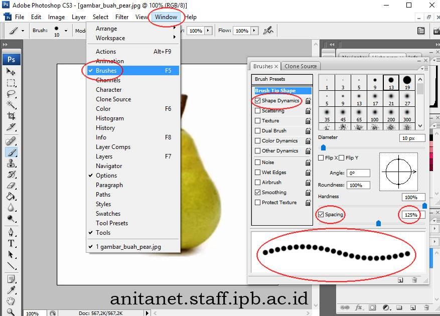 Cara membuat titik-titik dengan Adobe Photoshop CS3 | Anita Handayani
