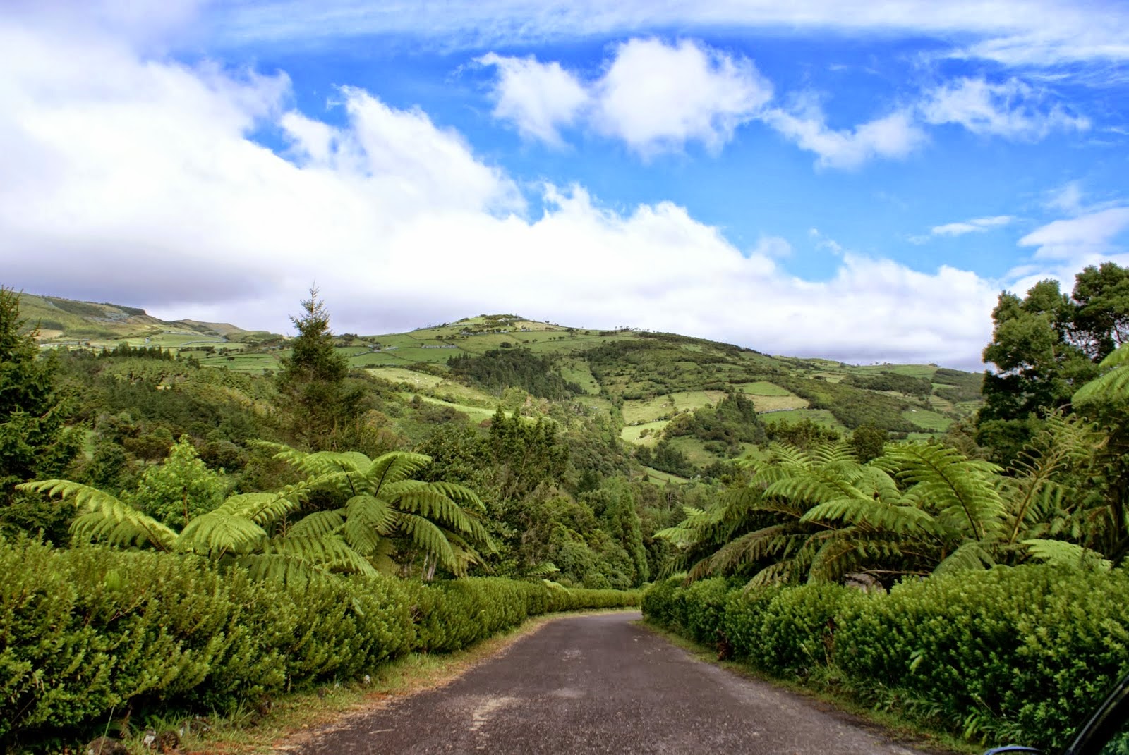 CONSERVAÇÃO EX SITU E IN SITU