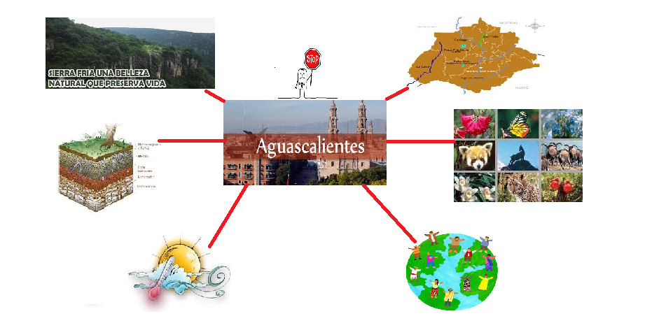" Alianza Para un Mundo Mejor " (APMM): Mapa mental De Caracteristicas ...