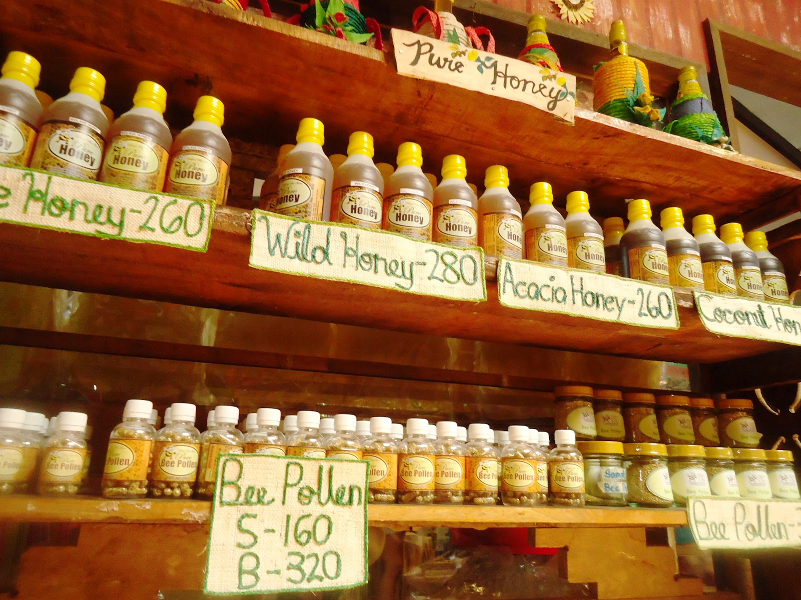 the traveller & her thoughts: BOHOL BEE FARM