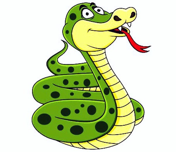 La Culebra y Él Hombre 🔗 National Carpfishing