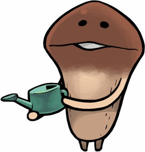 What a Feeling Japan: なめこ栽培キット Nameko saibai kit ～ Mushroom Garden game.