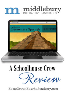 Home Grown Hearts Academy Homeschool Blog: Our Reviews