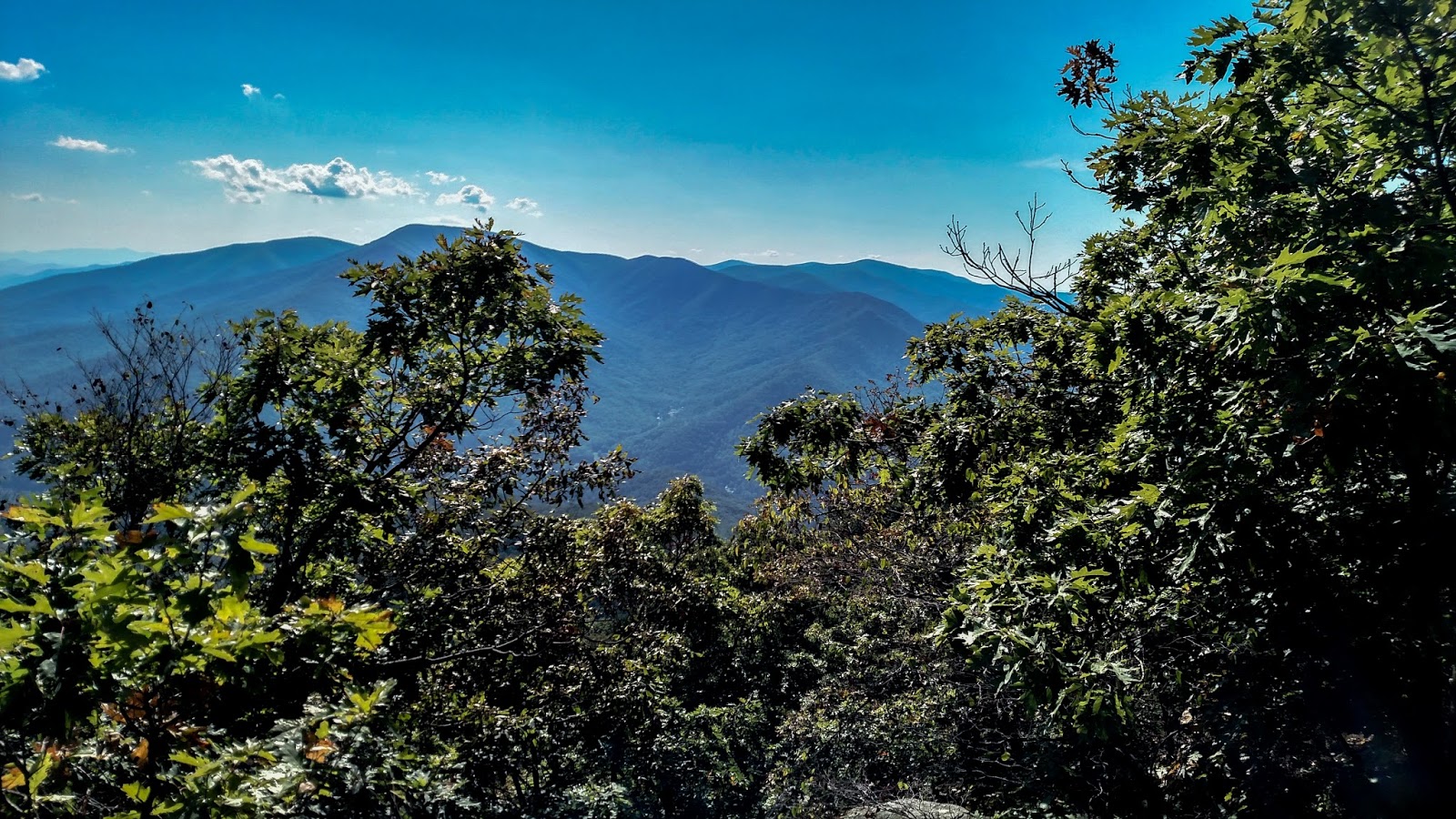 The Hiking Hokie: Three Ridges Loop