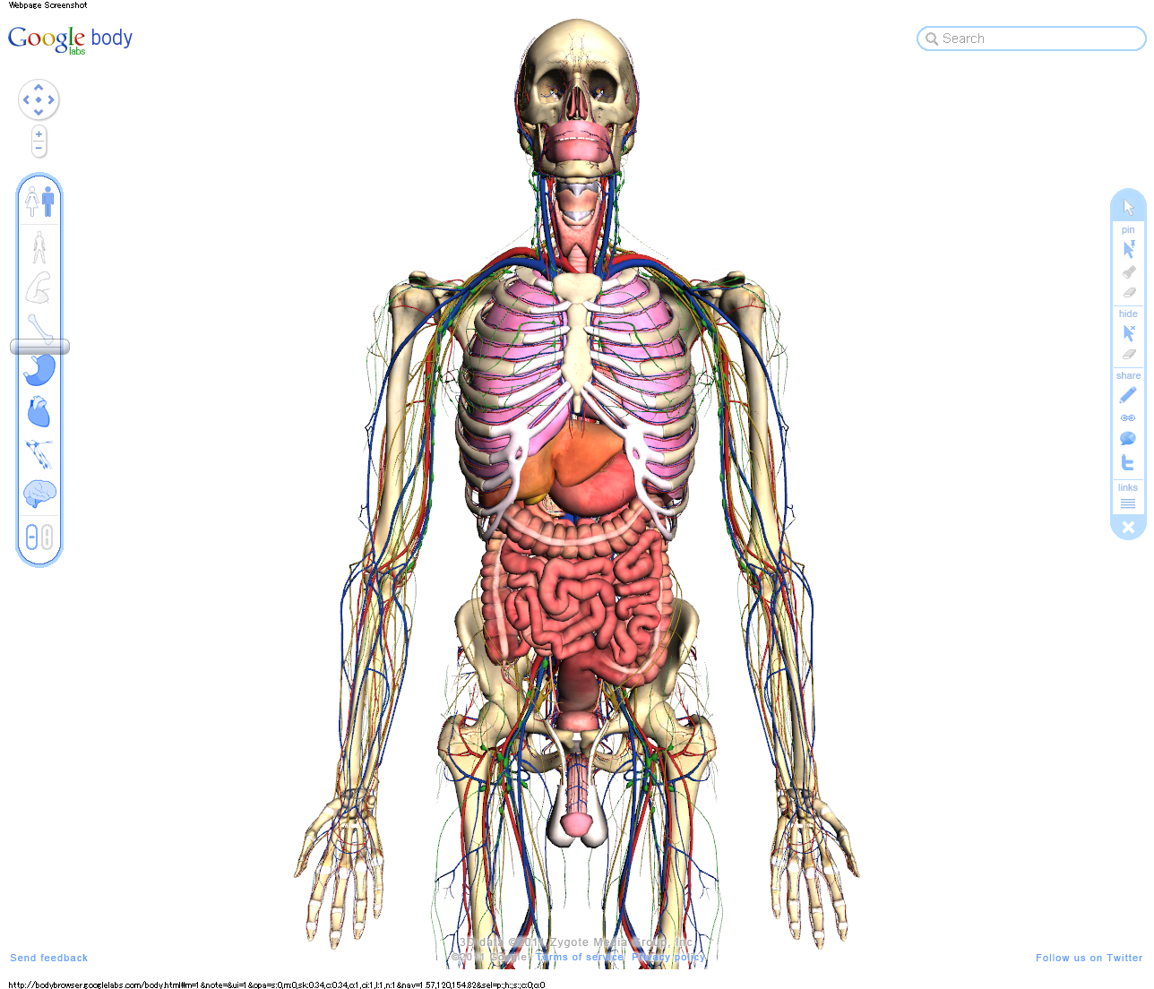 D-PROJECT: Google Body