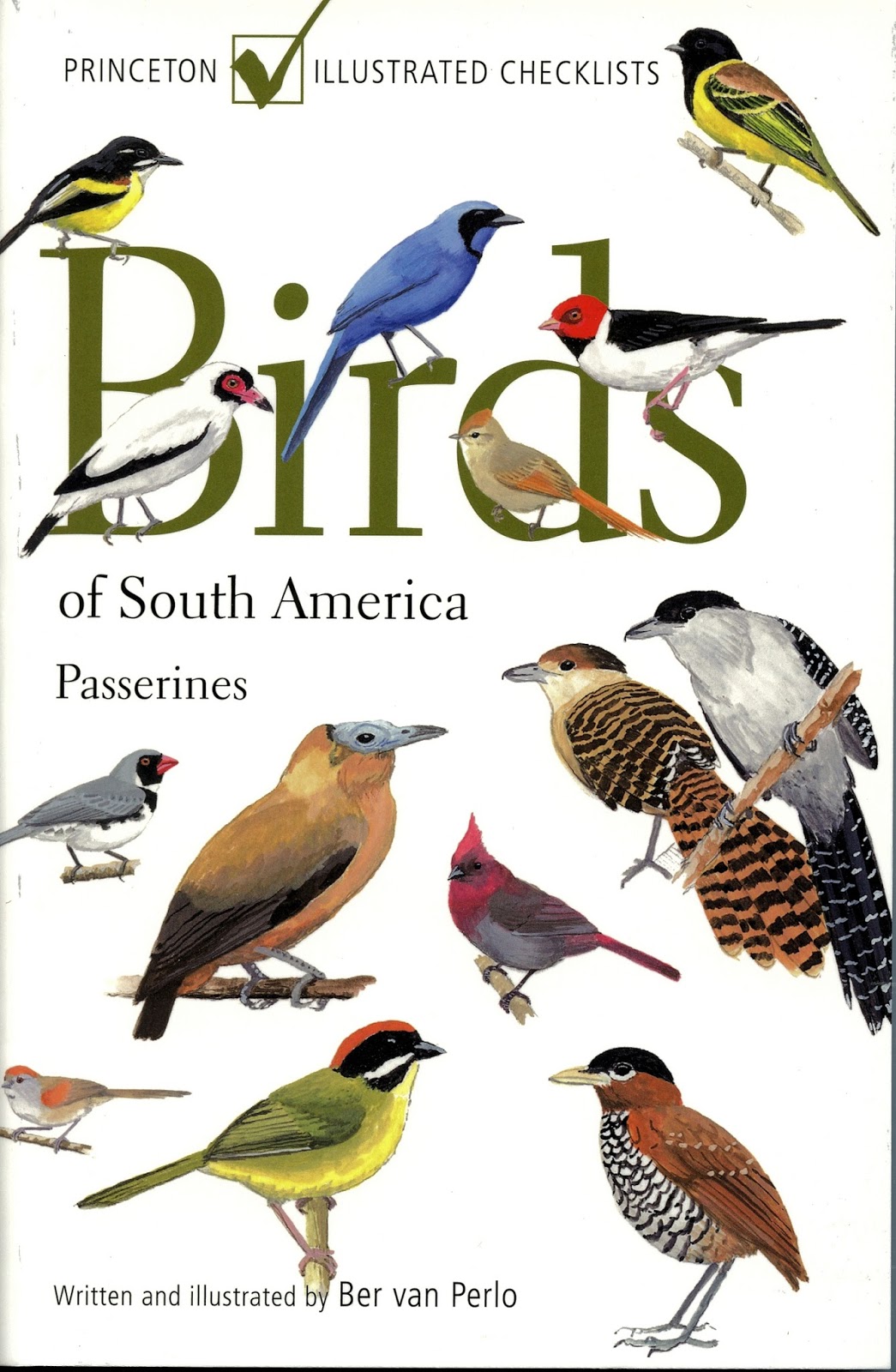 Birds from Behind : Books and Books and MORE Books!