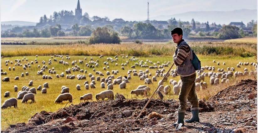 EDIFICANDO VIDAS: PASTOREAR É UM ATO DE AMOR!