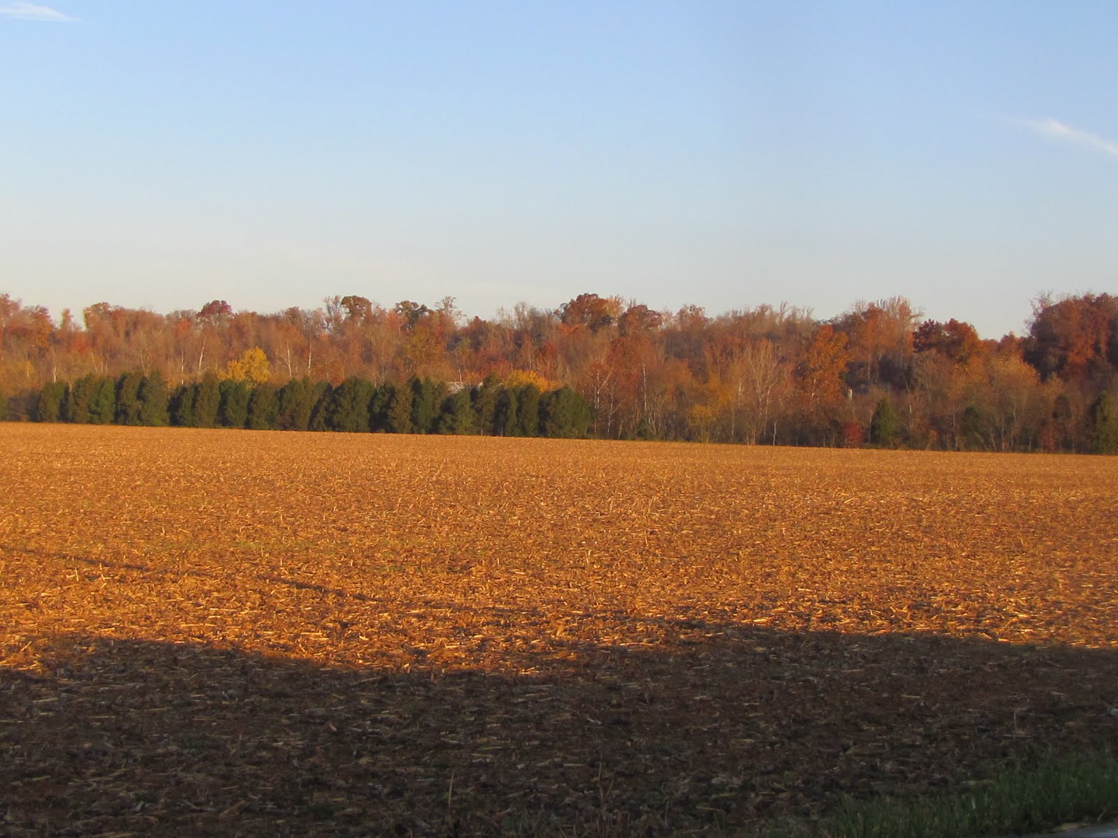 Tidbits of Joy: Awesome Fall in Southern Indiana