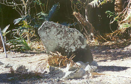 Time Present and Time Past: Oral Tradition and Historical Fiction