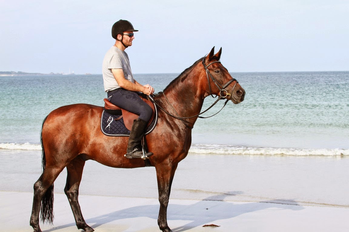 Ecuries Coursin: Le prince Sandro, vu par un photographe