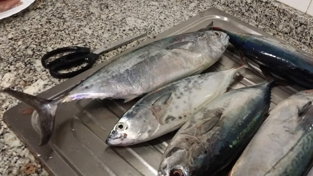 Panceta y Demi Glace. Cocina: Melva en escabeche