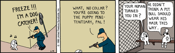 World of Cartoons and Comics: Dog catcher