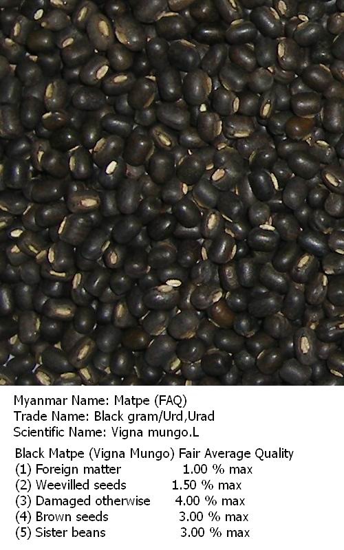 Armstrong Intertrade