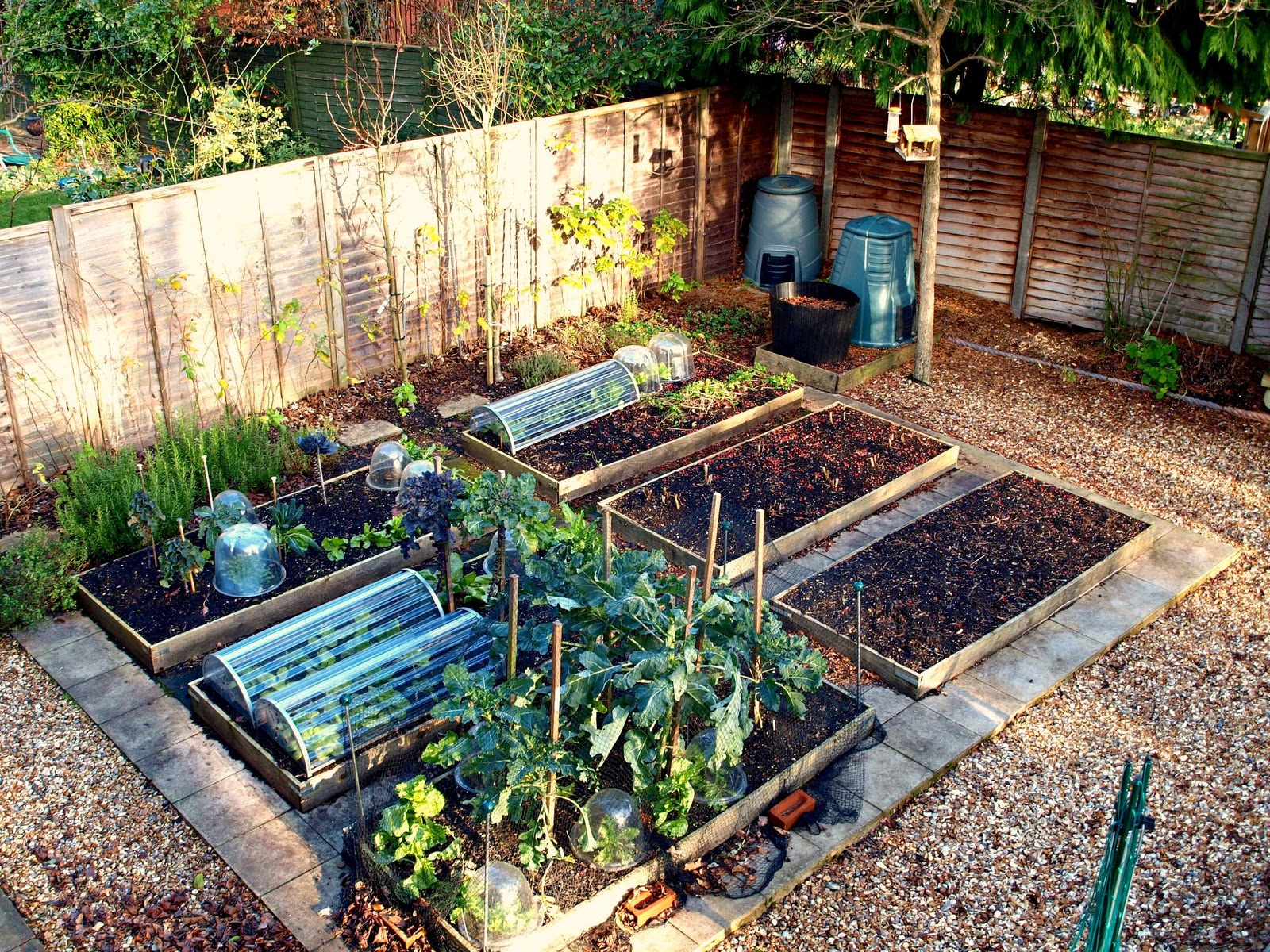 Mark's Veg Plot: My plot