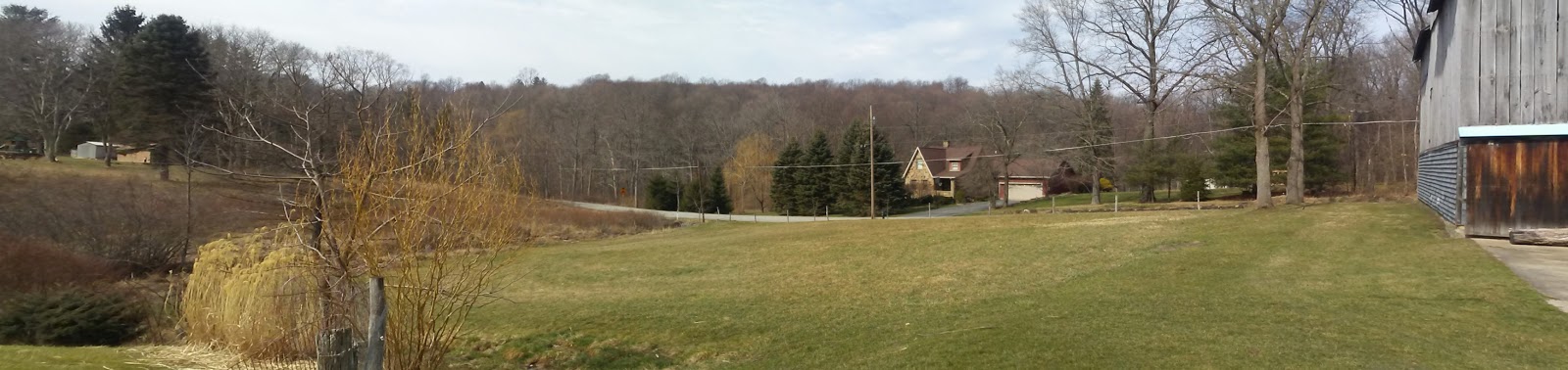 Valley Brook Farm: Views