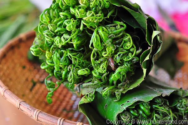 simply_simple: Midin masak belacan