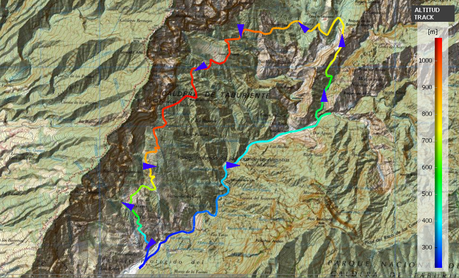 res sota els peus: El barranc de Las Angustias i la platja de Taburiente