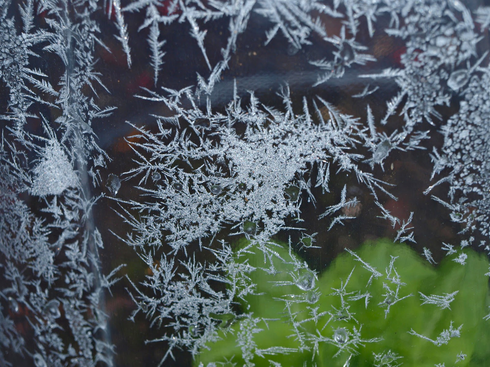 Mark's Veg Plot: Frost patterns - Nature's own artform