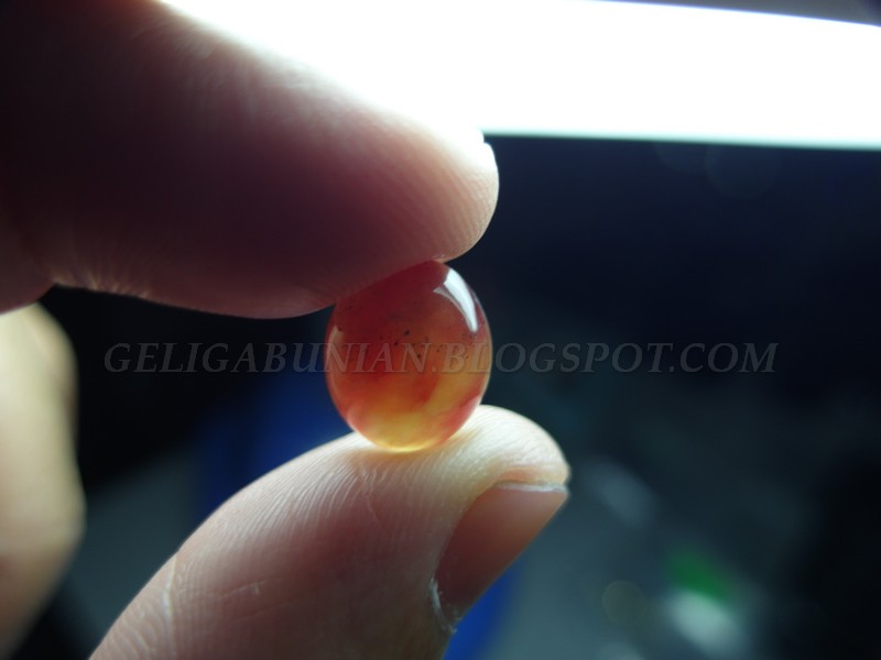 BLOG UTAMA Y.M PADUKA AYAHANDA PAY 8: JED DARAH / MERAH