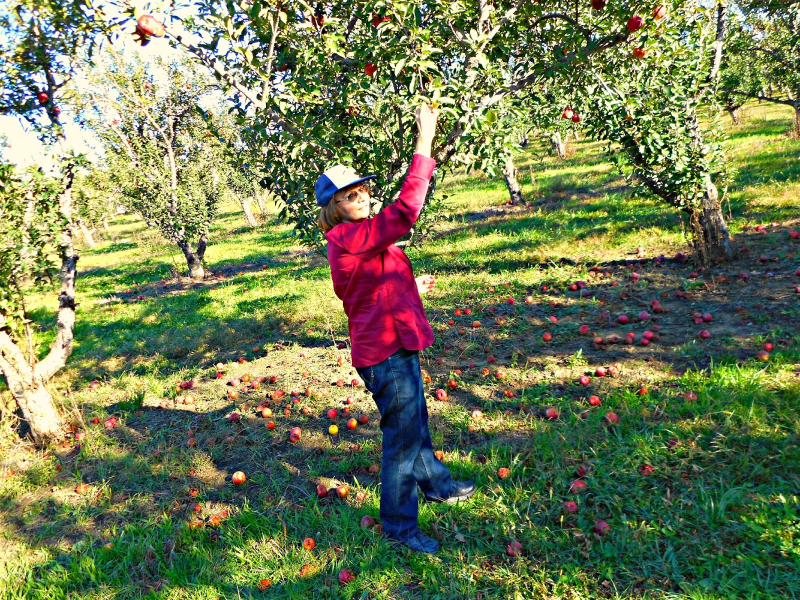 7 Quick Takes: Apple Picking, Pumpkin Picking, and Amazon Shopping