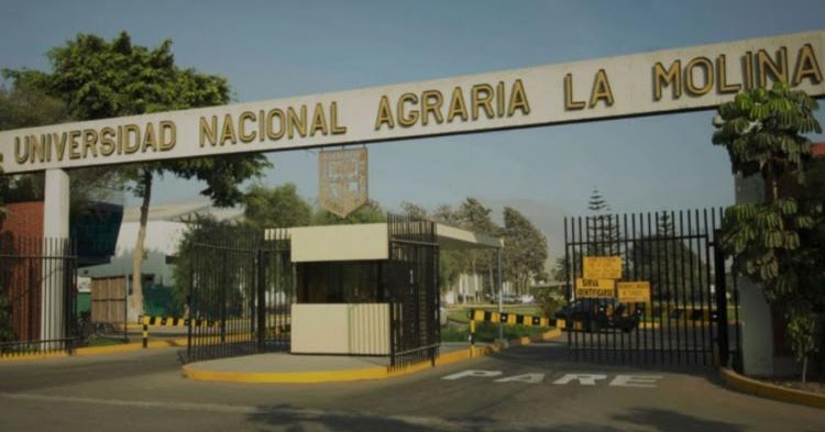 UNALM: Universidad Nacional Agraria La Molina se convierte en la ...