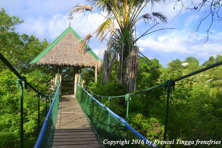 Frenz Fries: Punta Verde Dive Resort