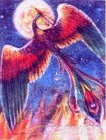 L'onda che vien danzando: Araba Fenice – Significato del mito e del ...