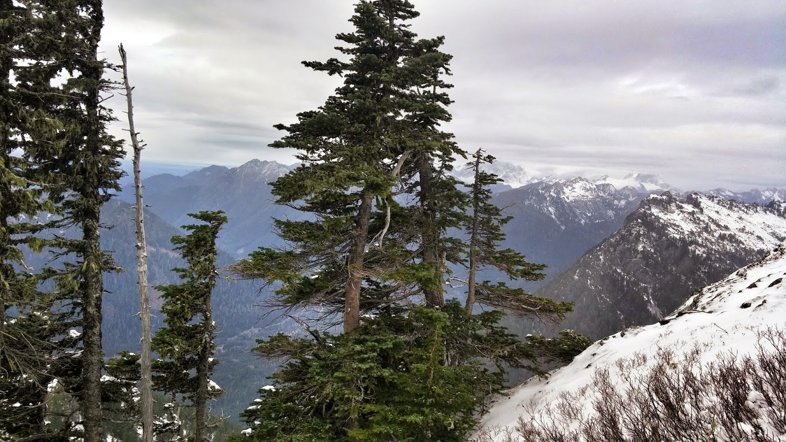 Hiking in the Pacific Northwest: Mount Dickerman Hike: 12/16/14