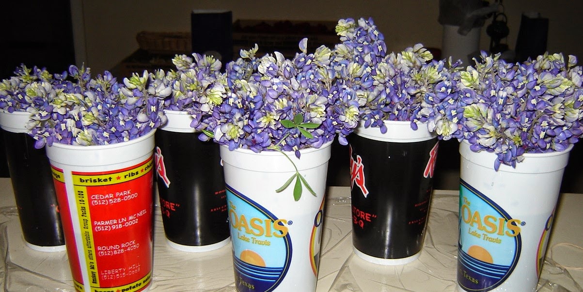 Pressed Garden: How to Press Texas Bluebonnets