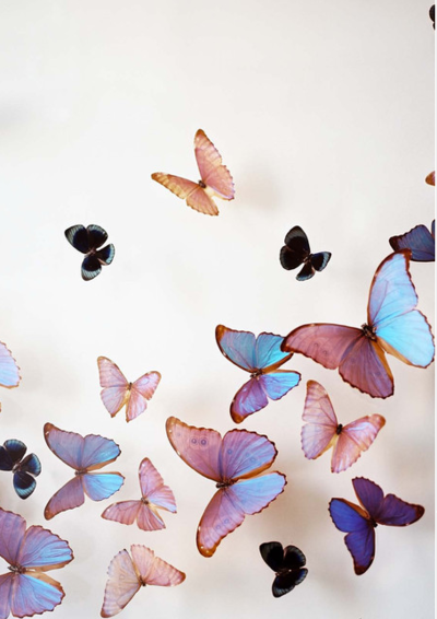 Pandora`s Box: Spring Scents