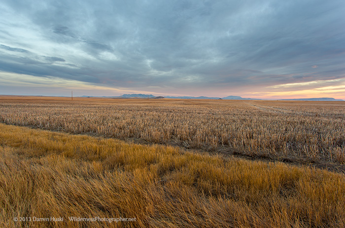 Montana Great Plains Country