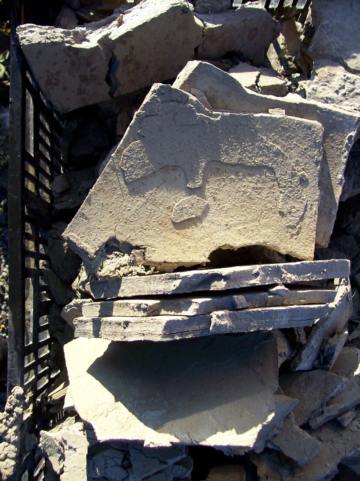 The Vermont Gardener: Soil Testing