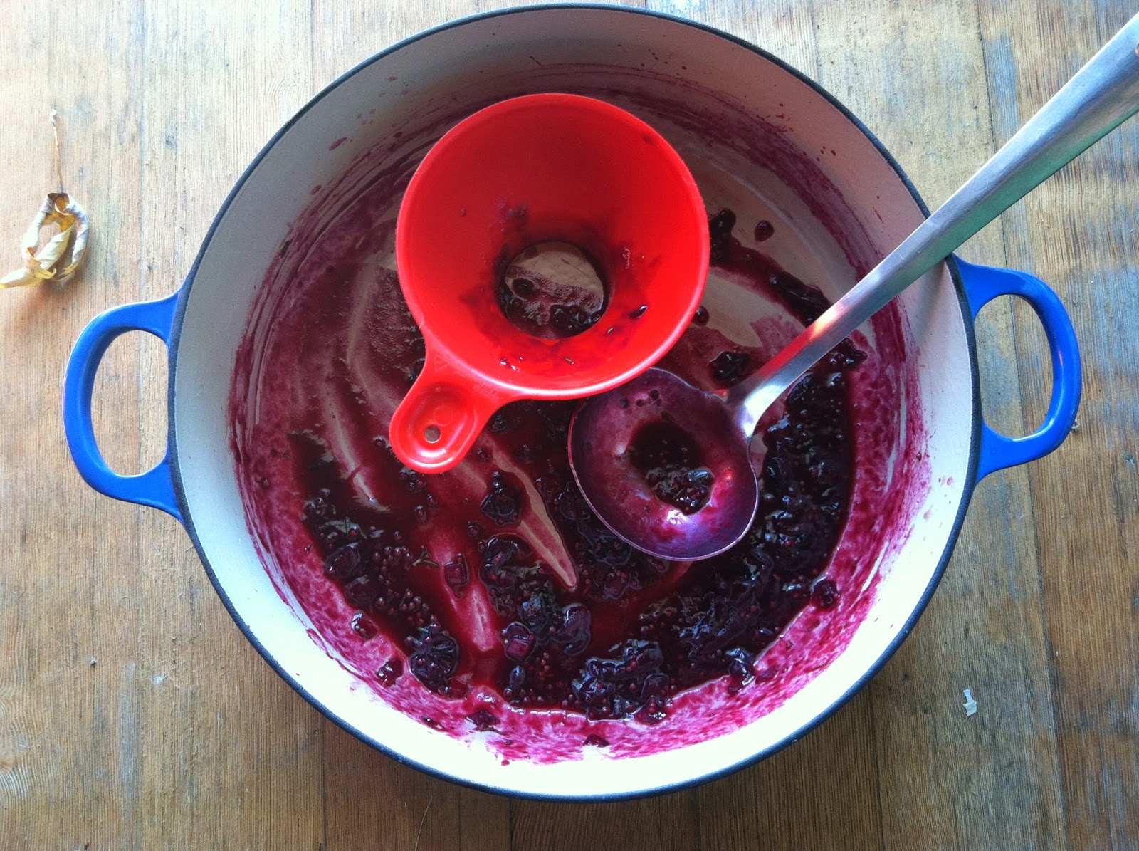 What Julia Ate: Grape Mostarda