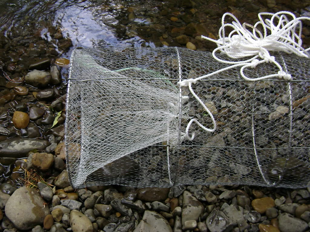 SUMMER-SAILING: Local Eel fisherman & an assortment of traps