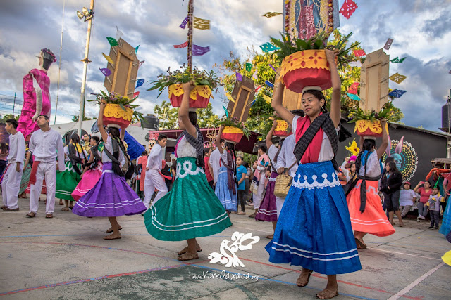 ¿Qué es una Calenda de Oaxaca? - Vive Oaxaca