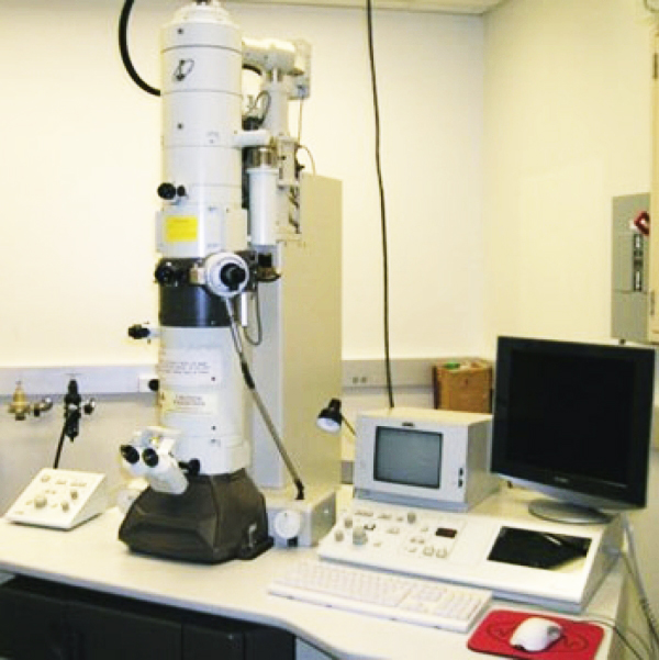 Mikroskop Elektron ~ PURWO CORP.