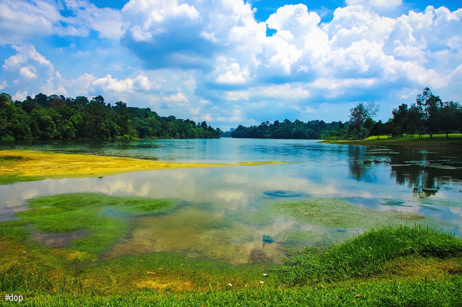 Singapore Travel & Culture Photography: Macritchie Reservoir Park