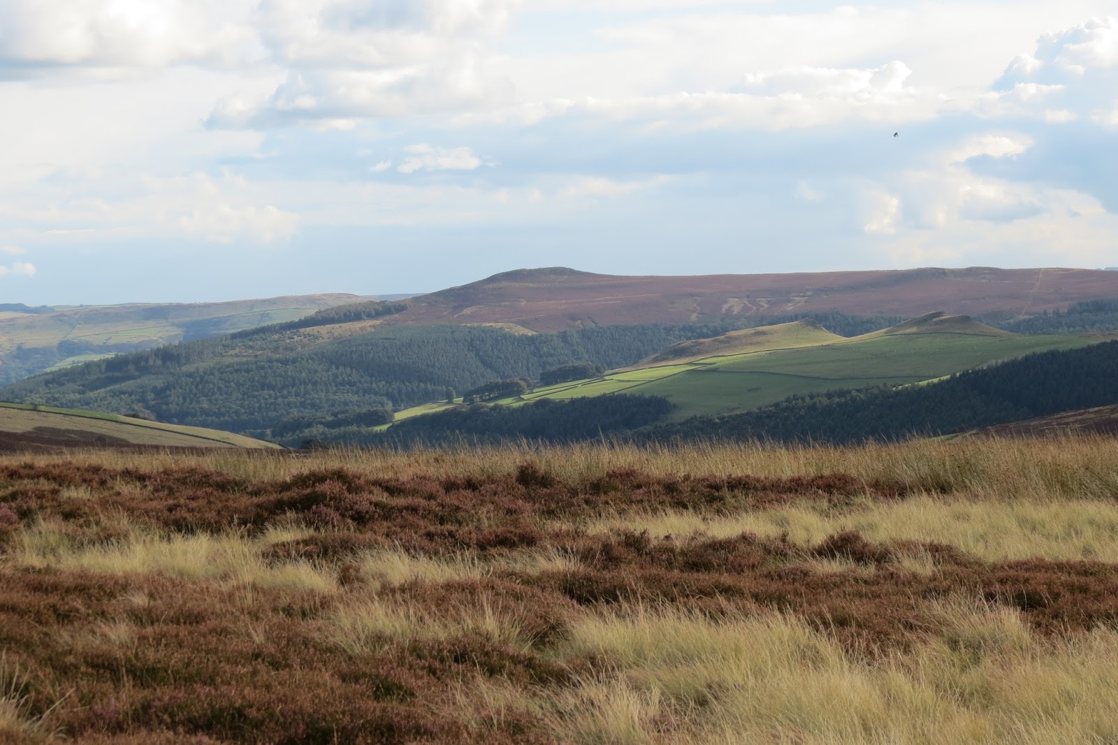 Howden Moors - Howden Dean, Back Tor and Lost Lad ~ Occasionally Lost