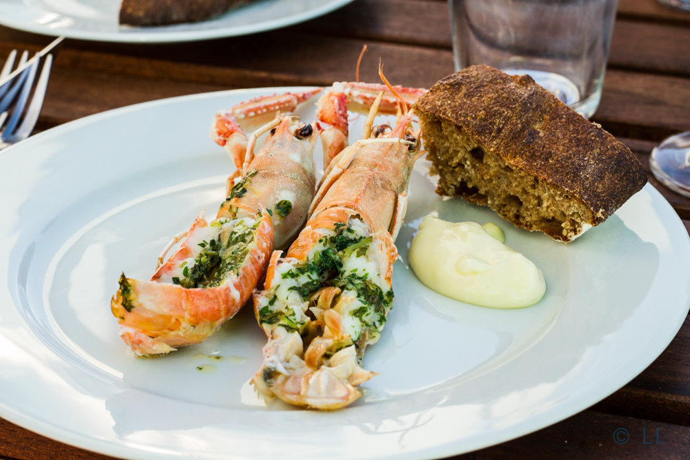 Kardemomme frøen : Jomfruhummer med aioli